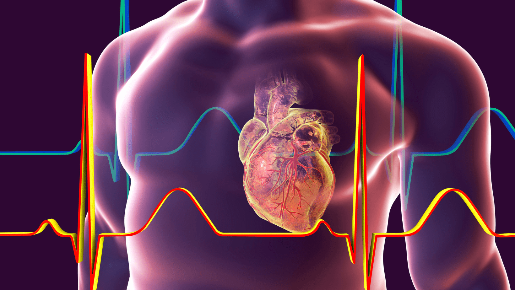 From the Heart: How Massage Therapy Can Improve Your Cardiovascular ...